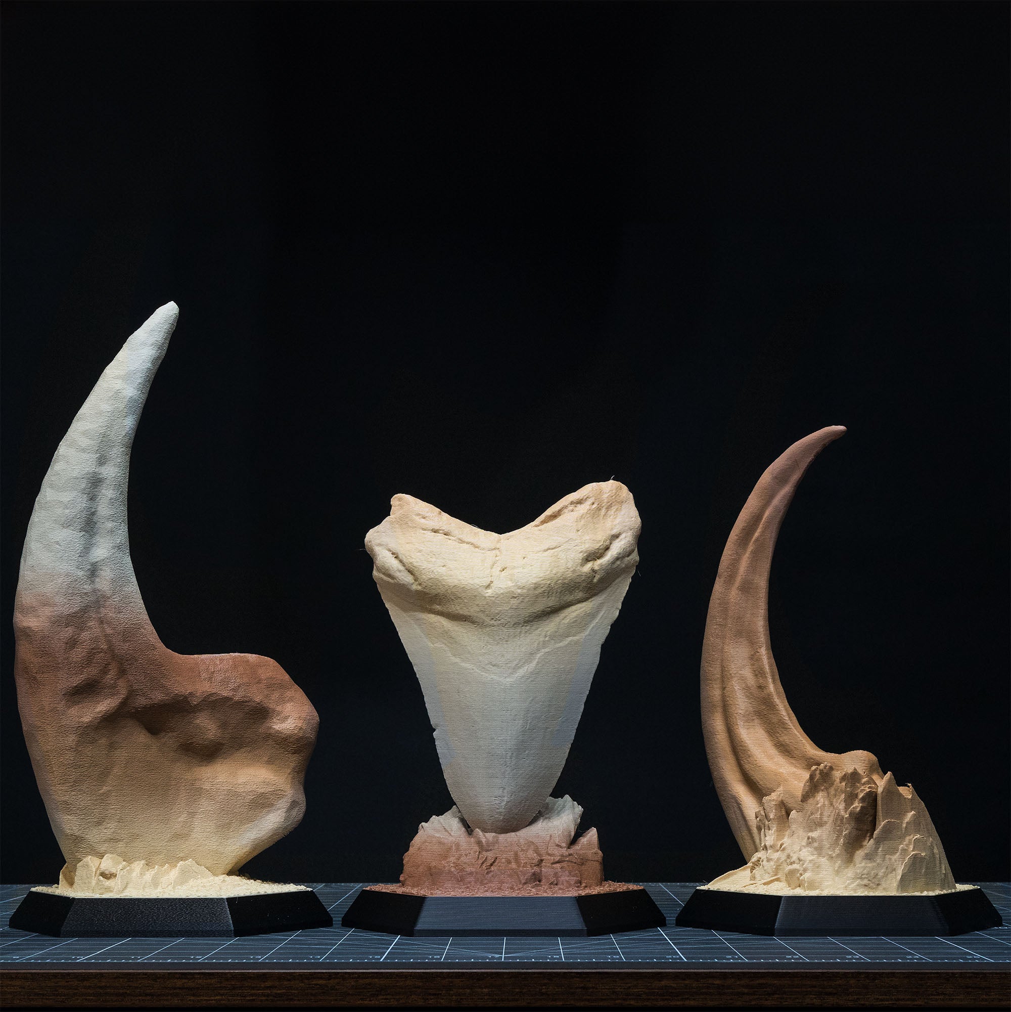 Dinosaur Fossil Replicas of Megalodon, Velociraptor and Allosaurus